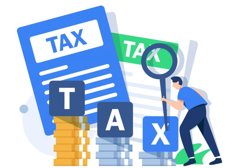 Why Do We Pay Taxes to the Government? - Pocketful